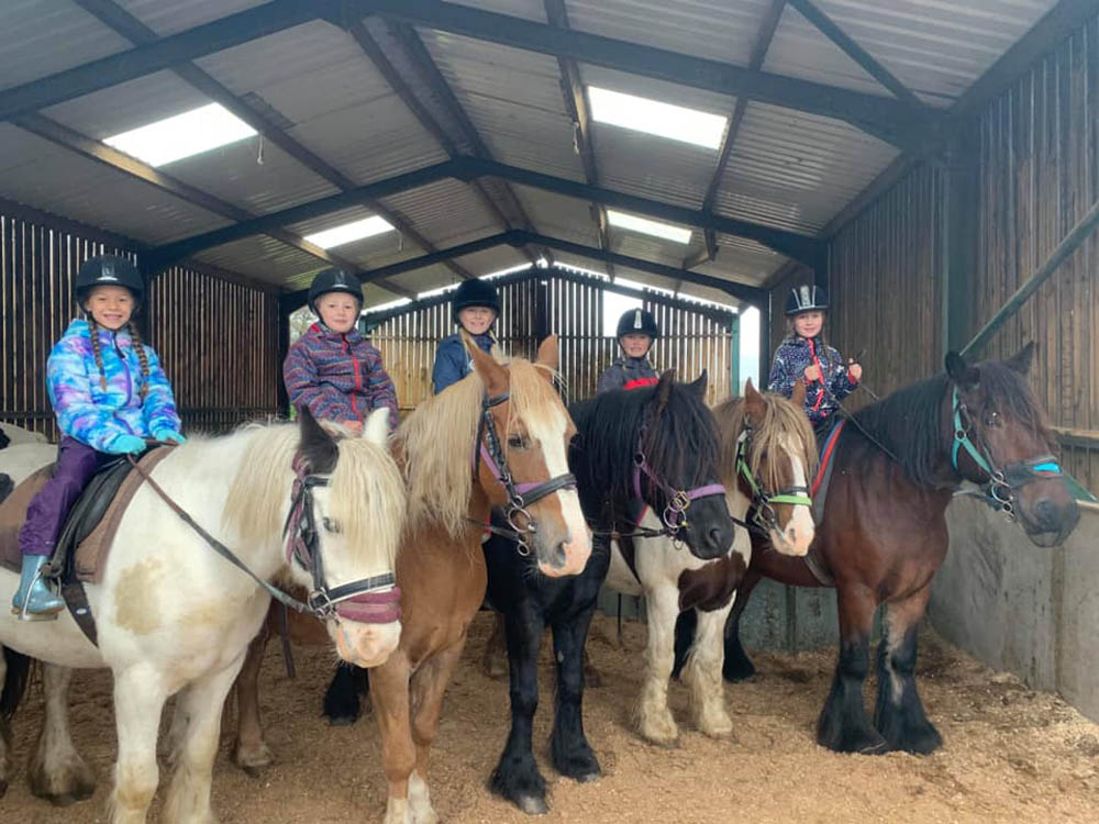 Gallery – Braeden Pony Trekking